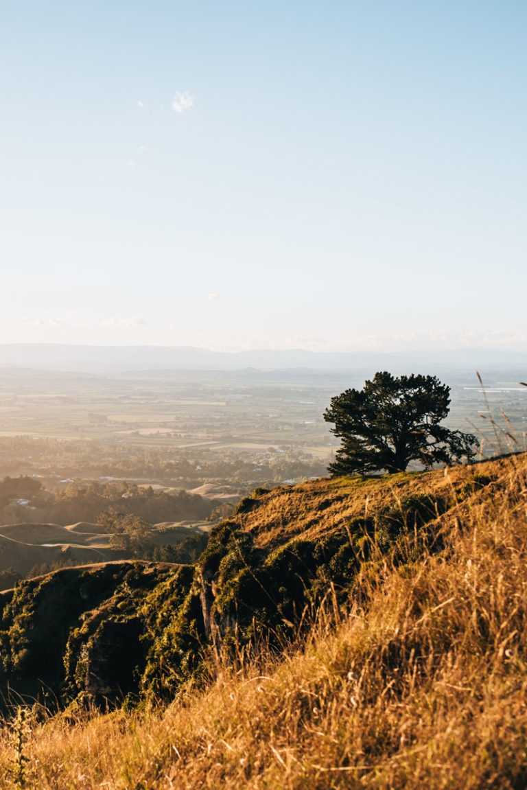 Napier Travel Guide: Top Things to do in New Zealand's Art Deco City ...