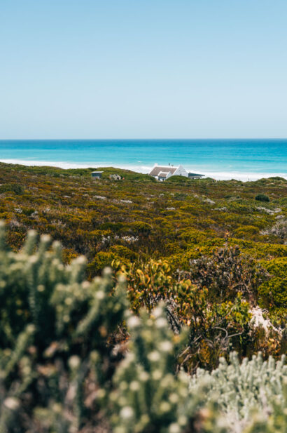 De Hoop Nature Reserve & Swellendam: Unsere Tipps und Highlights ...