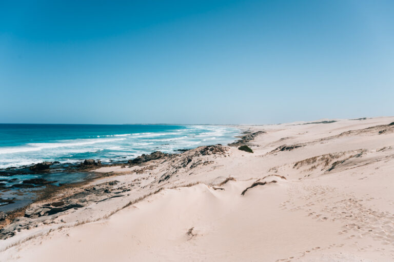 De Hoop Nature Reserve & Swellendam: Unsere Tipps und Highlights ...