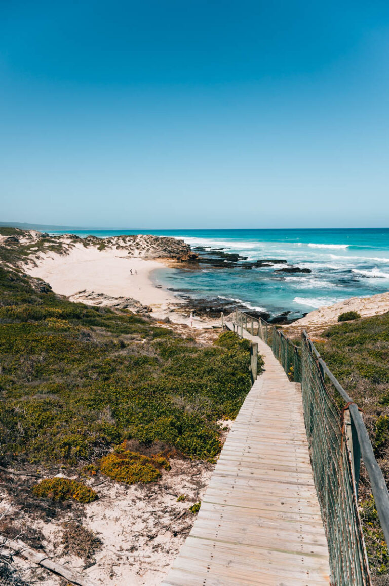 De Hoop Nature Reserve & Swellendam: Unsere Tipps und Highlights ...