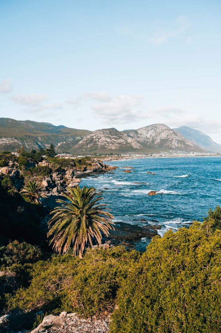 Hermanus in Südafrika: Top Sehenswürdigkeiten & persönliche Tipps ...